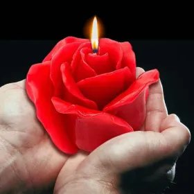 Oniricat | Botiga de productes i objectes de disseny català.